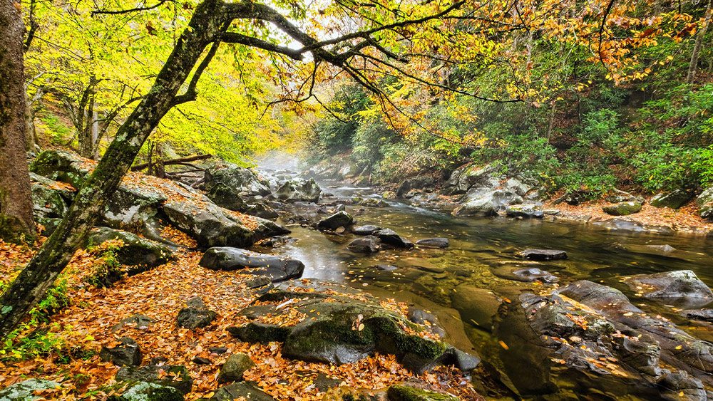 Take Action: August is Tennessee's Water Quality Month