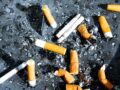 7 Ways Cigarette Litter Can Greatly Impact the Environment