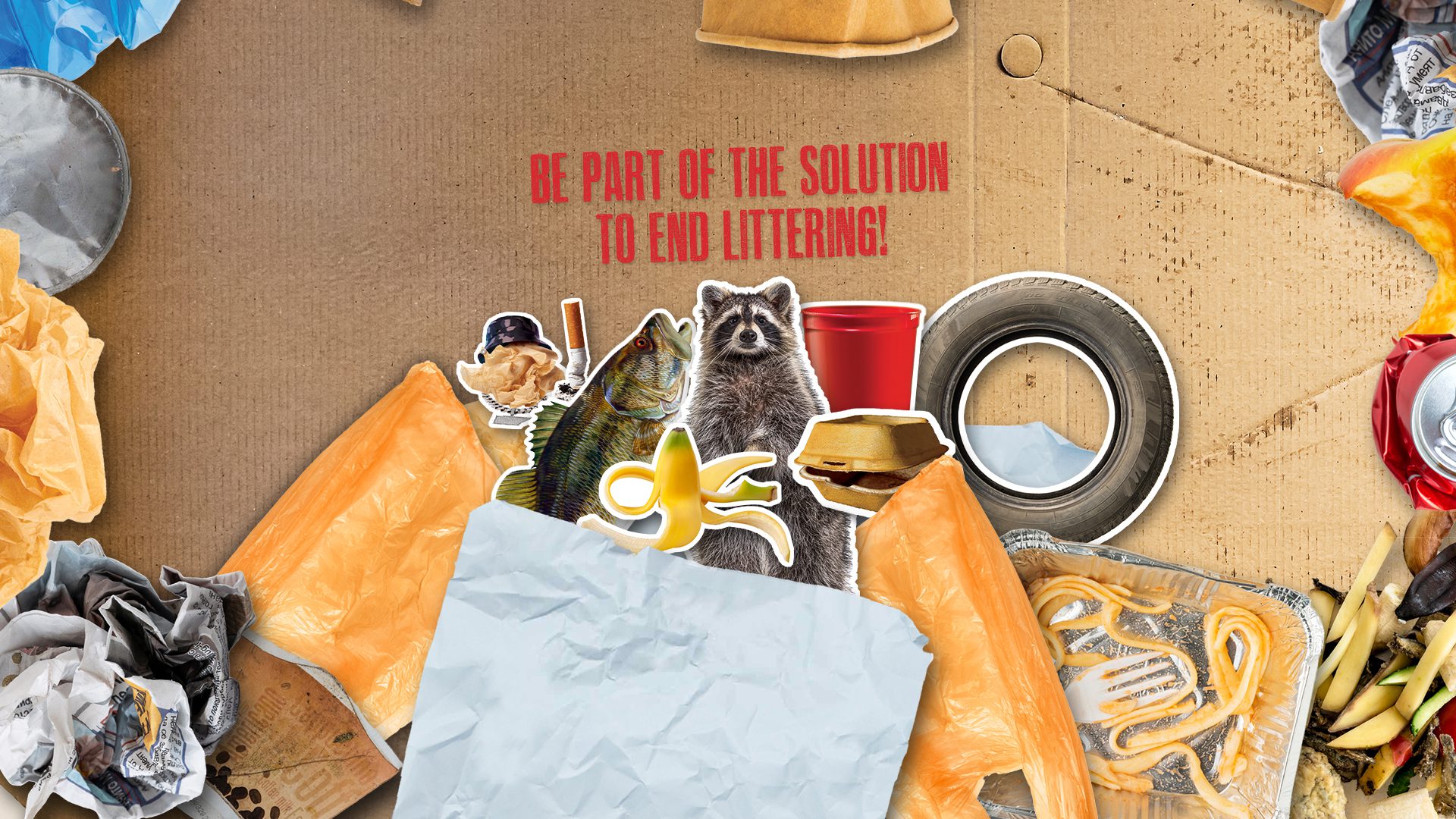 Home - Nobody Trashes Tennessee