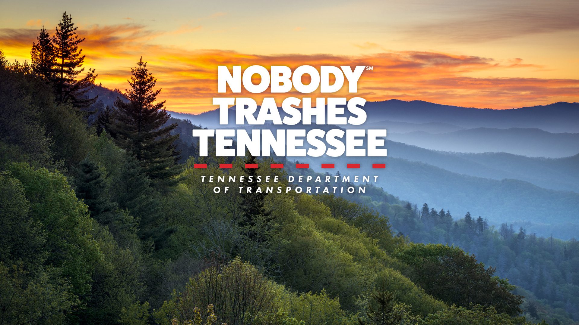 Nobody Trashes Tennessee Toolkit - Nobody Trashes Tennessee