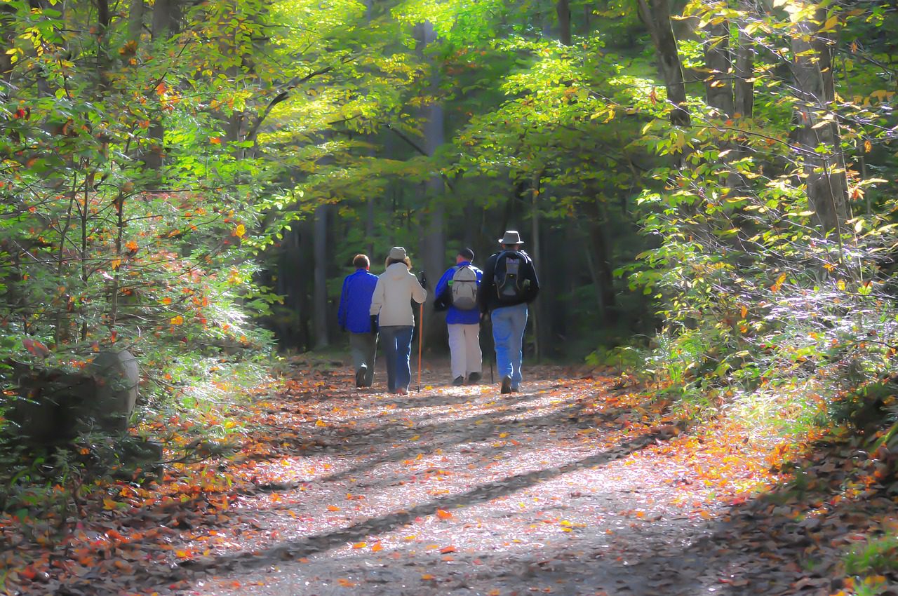 Why Litter Prevention is Essential for our State and National Parks ...