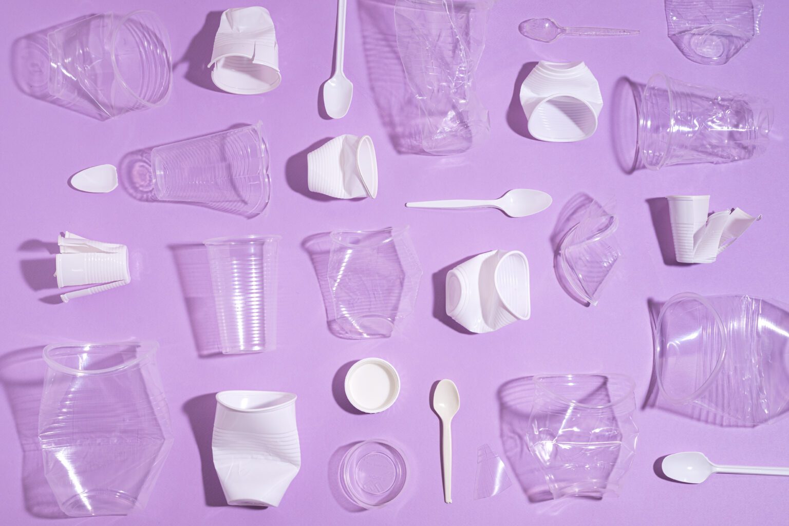 6 Reasons Why You Should Say No to Single-Use Plastics | Nobody Trashes ...