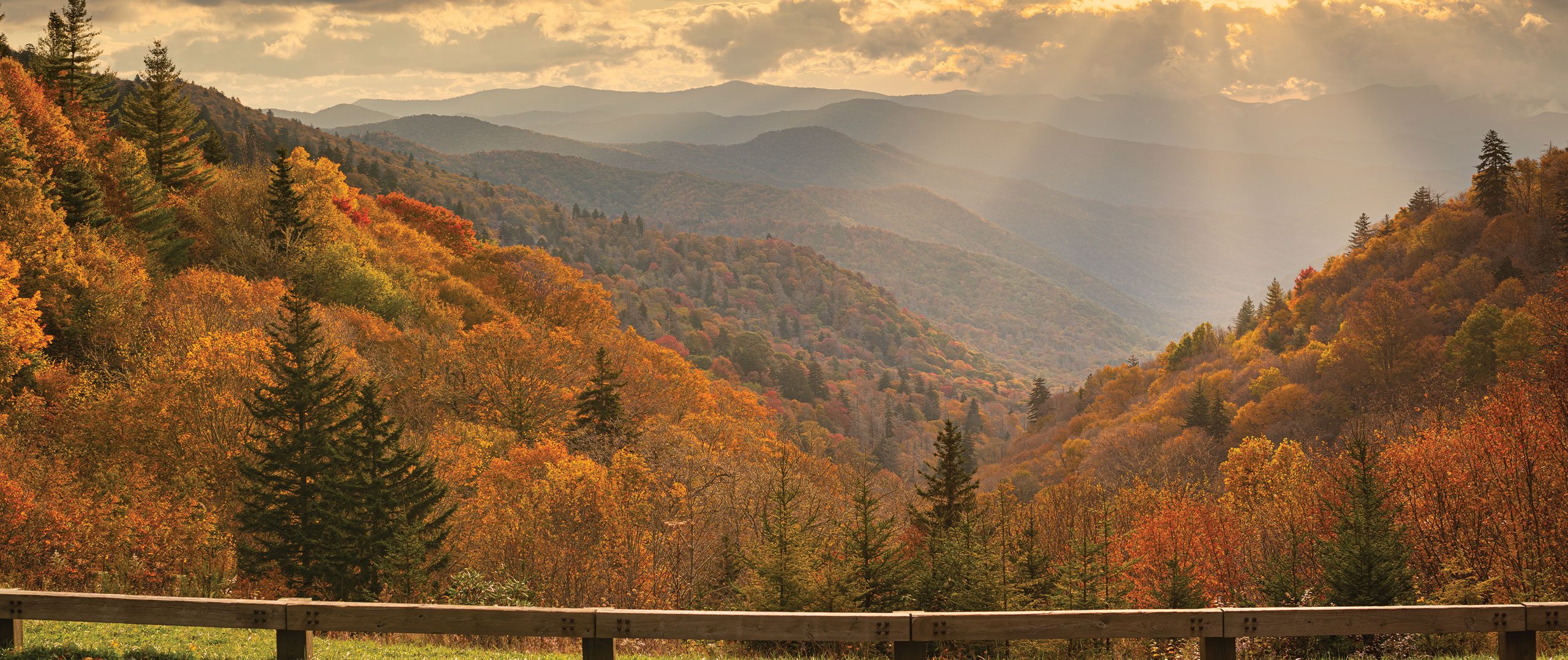 Join the NTT Trash Masters Rewards program