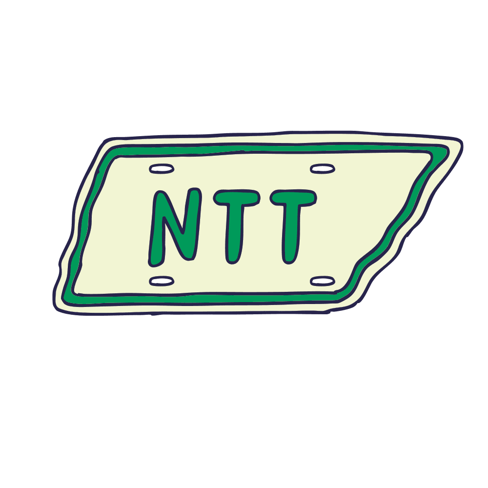 Litter Hotline | Nobody Trashes Tennessee