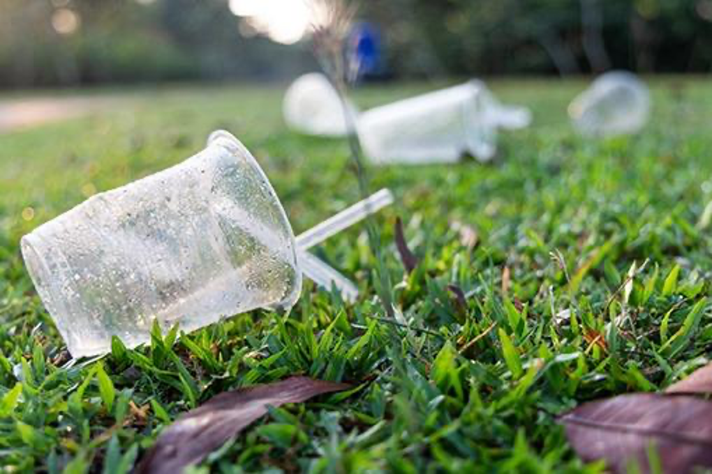 8 Suprising Facts About Litter | Nobody Trashes Tennessee Blog